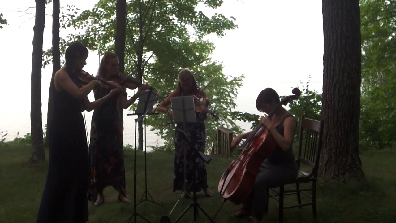 Remember Me string quartet cover (Thalia Strings) - YouTube