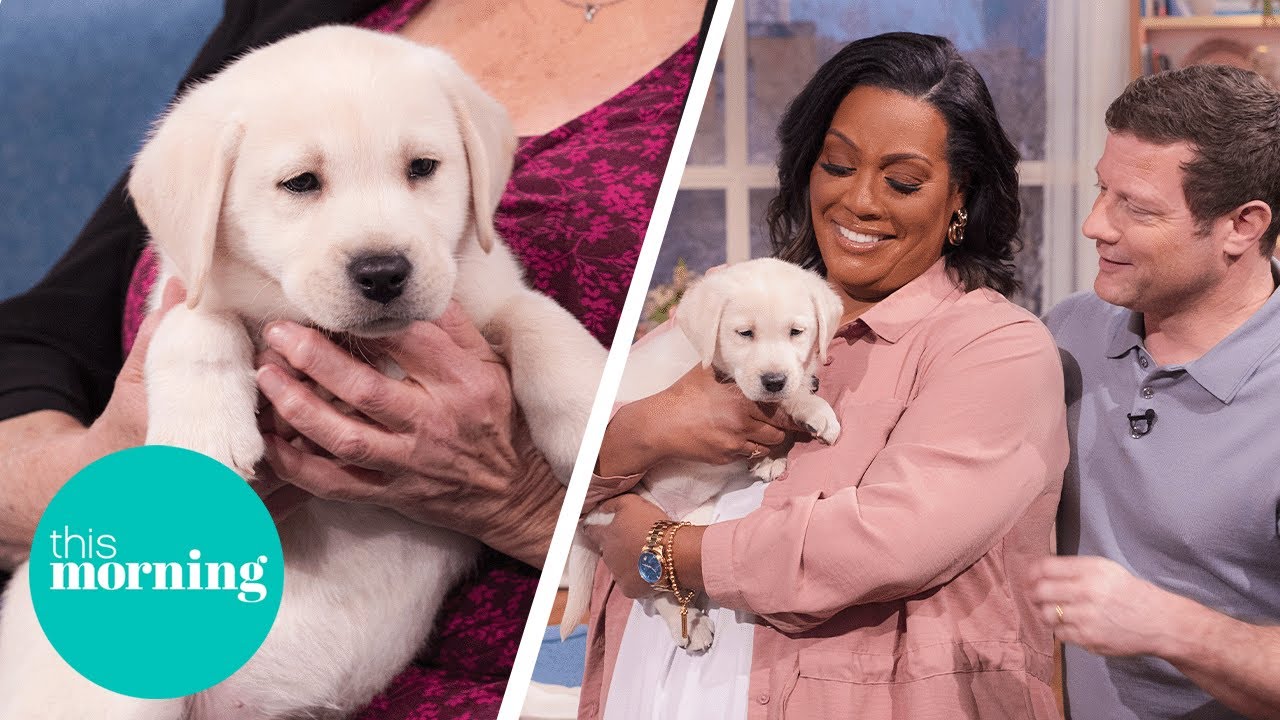 We Name the 8-Week-Old Puppy Joining Our Family! | This Morning - YouTube