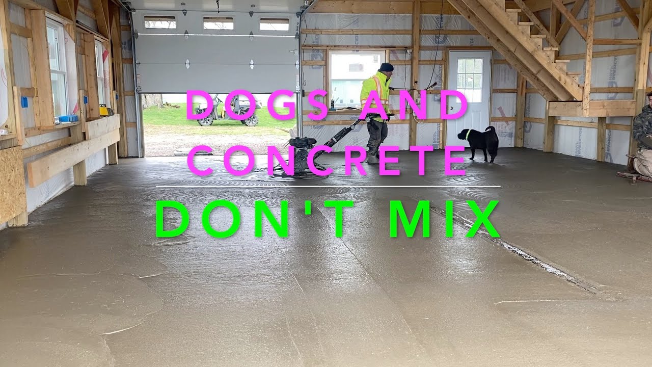 Pole Barn Floor Drains | Viewfloor.co