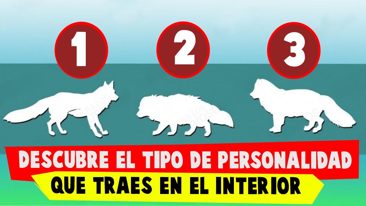 TEST de personalidad | FACIL Y RAPIDO | [ 3 animales mas fuerte ] - YouTube