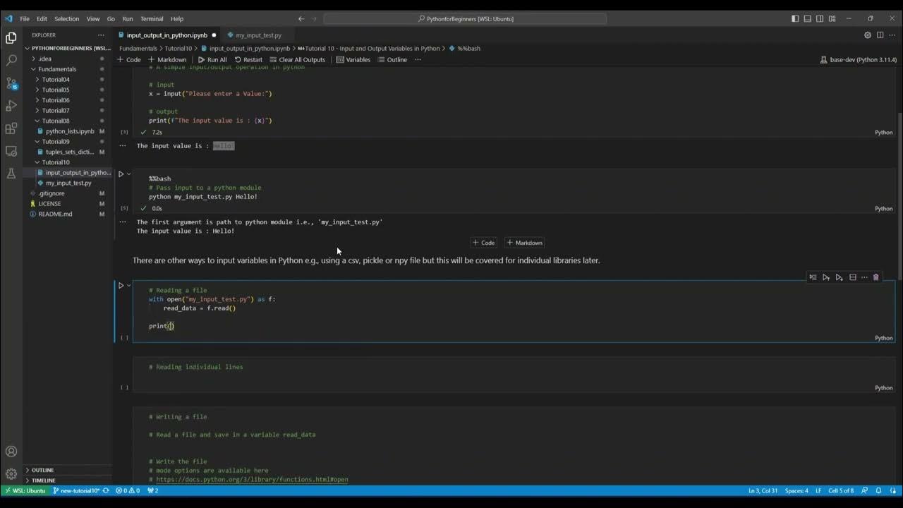 Tutorial 10 - Input and Output Variables in Python - YouTube