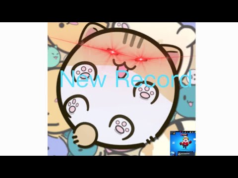 Cats Drop gameplay(poki ver.) 2898 record - YouTube