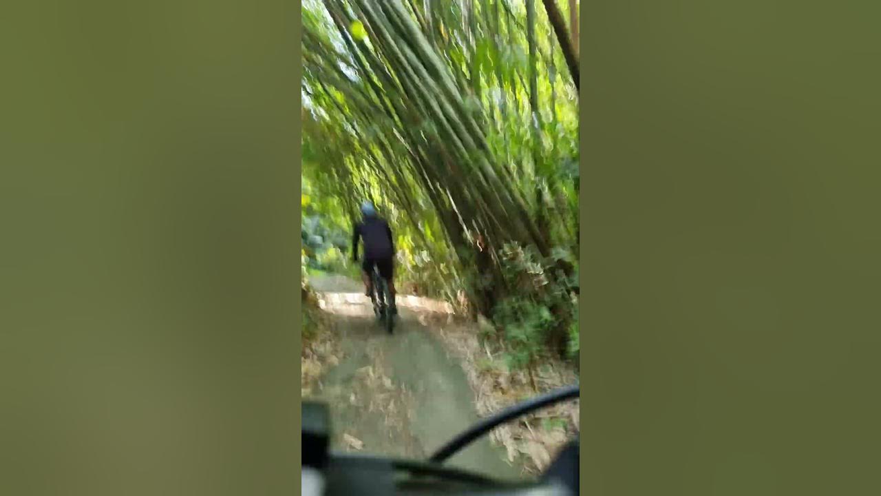Rute hutan Bambu #cycling #gowes - YouTube