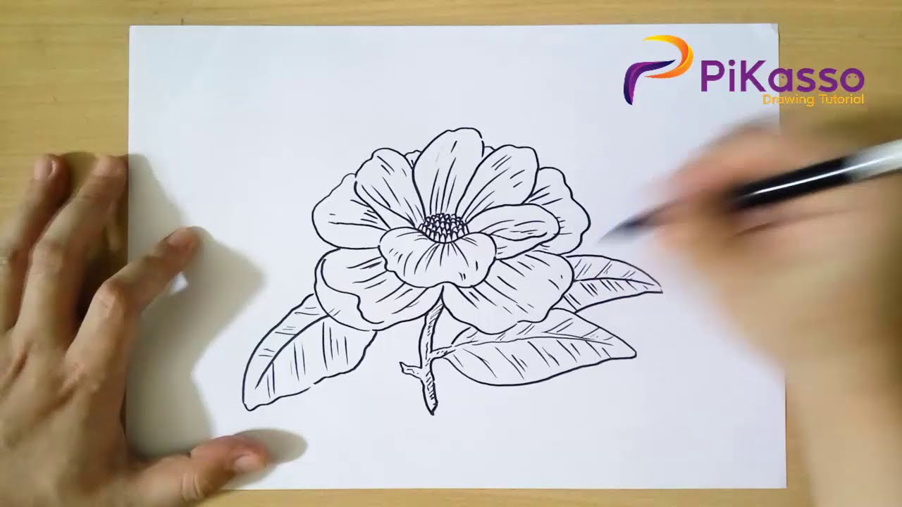 How to Draw Magnolia Flower Easy - YouTube