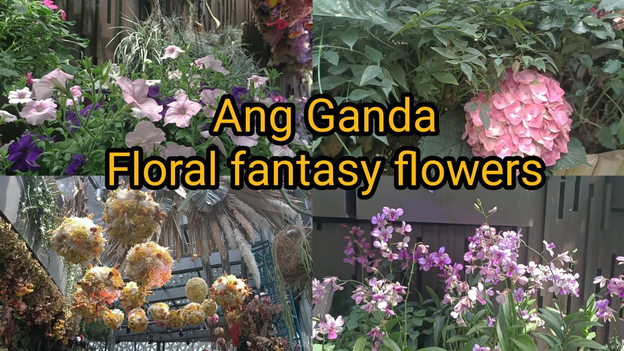 Ang Ganda Floral fantasy flowers At Garden by the Bay @Nenethvlogsg ...