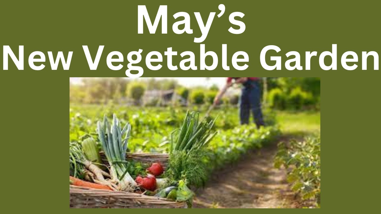 May's new Vegetable Garden - YouTube