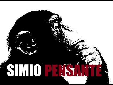 Simio Pensante - Trailer canal MGTOW en español - YouTube