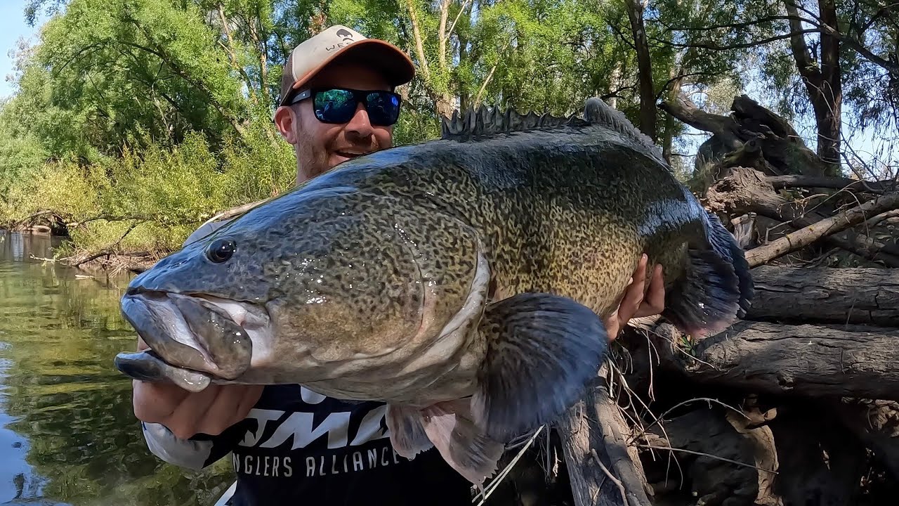 BIG Cod fishing a Tiny River - YouTube