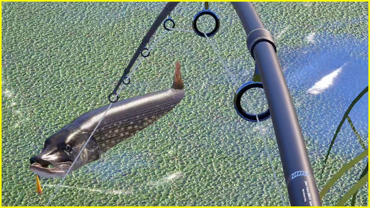 Pike Szczupak Russian Fishing 4 Old Burg | rf4 spot 367 - YouTube