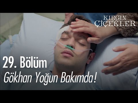 Gökhan yoğun bakımda! - Kırgın Çiçekler 29. Bölüm