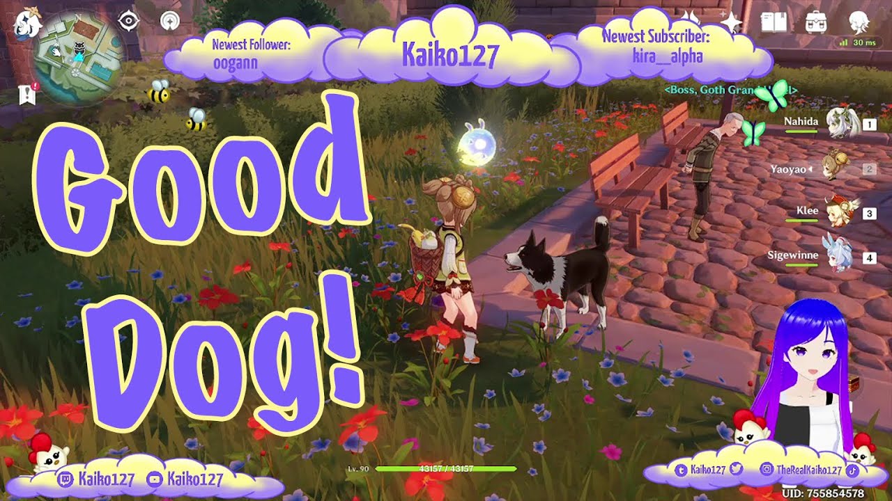Goth the Dog - Kaiko’s Genshin Highlights 157 - YouTube
