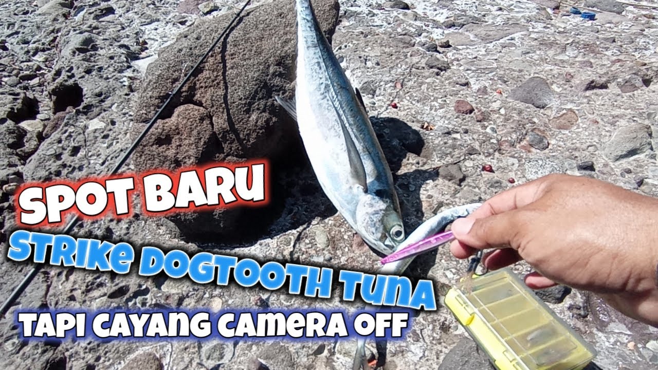 Spot Untuk Mancing Casting Dogtooth Tuna Di Bima || UL Casting Dengan Spoon Lure dan Metal Jig ...