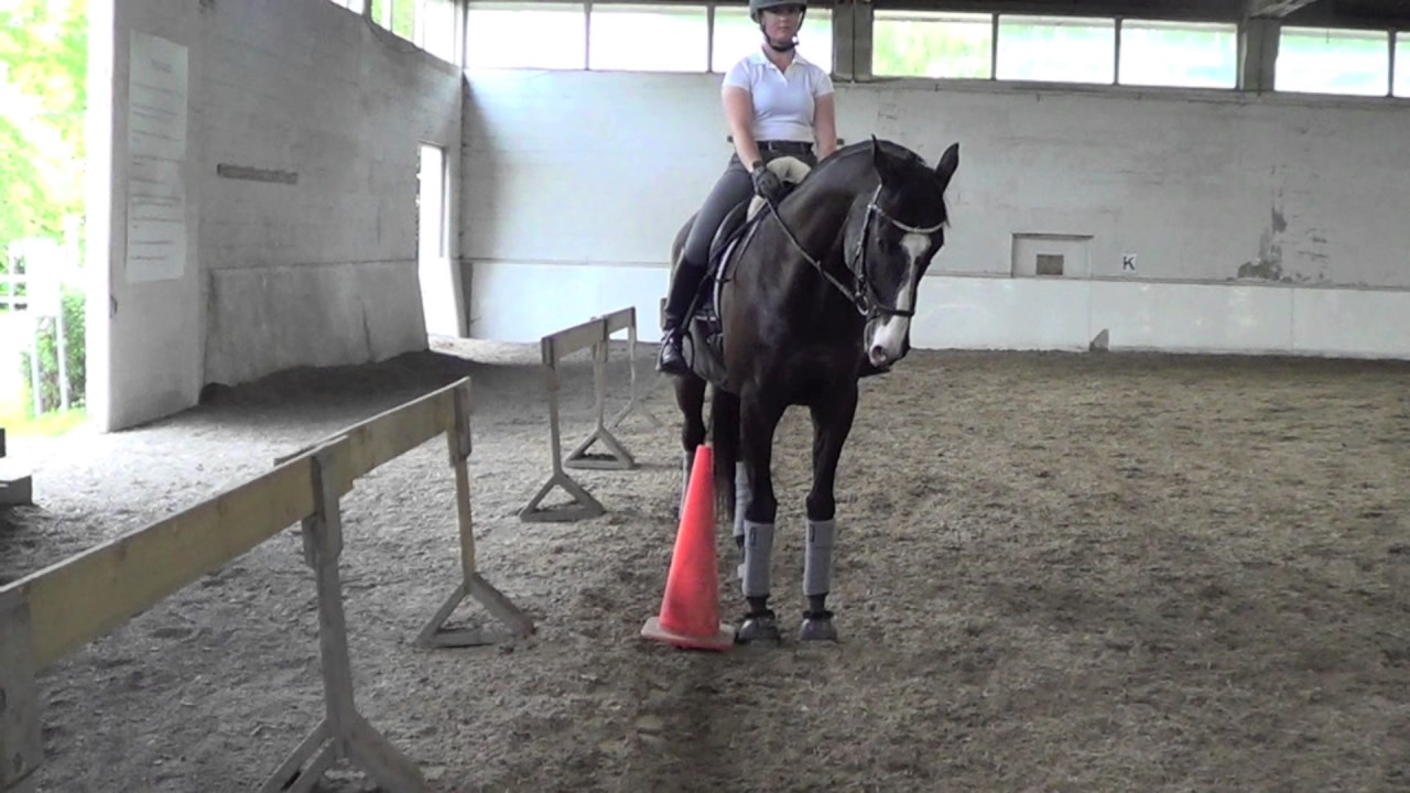 Shoulder In How do you know you have the right angle by EquiLearn - YouTube