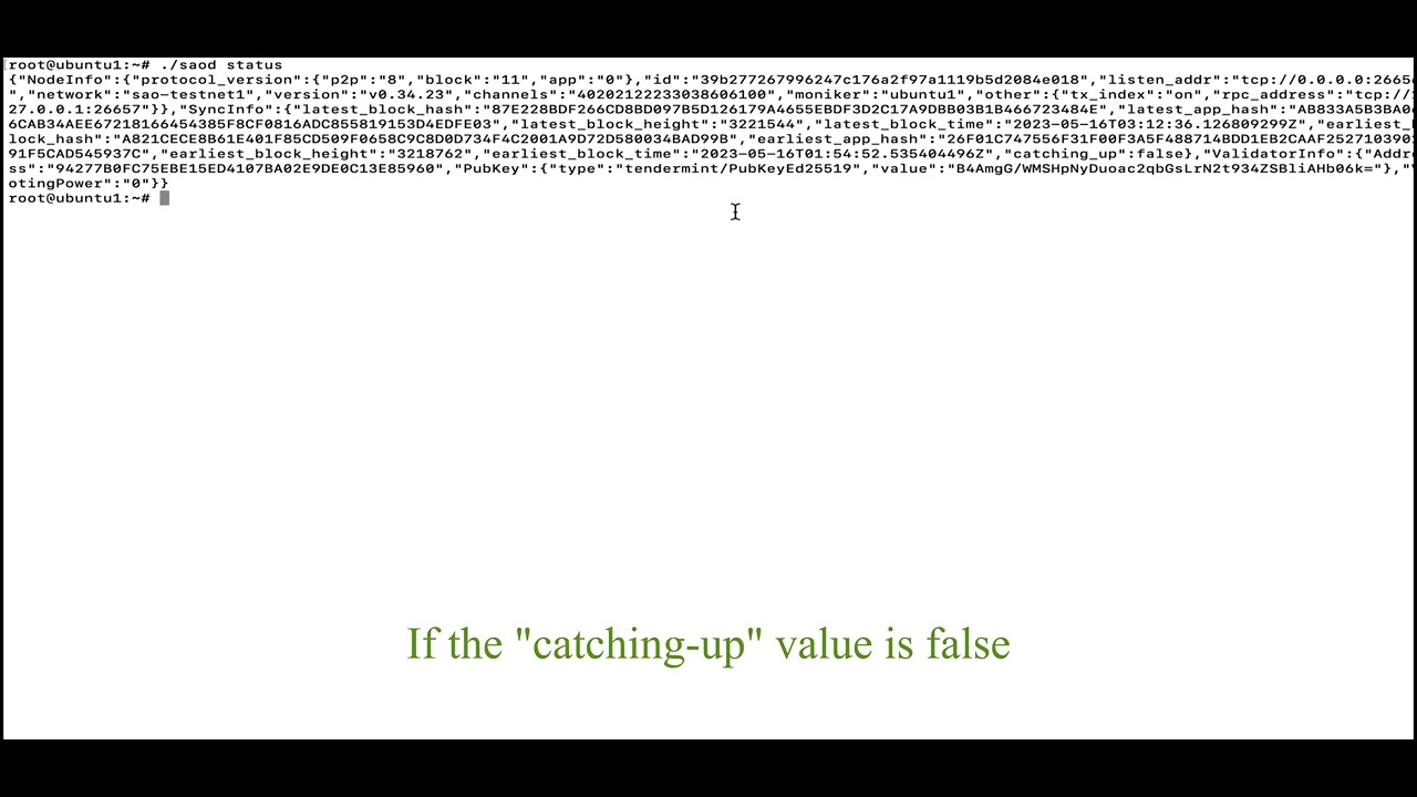 How to Run A Validator on SAO Network - YouTube