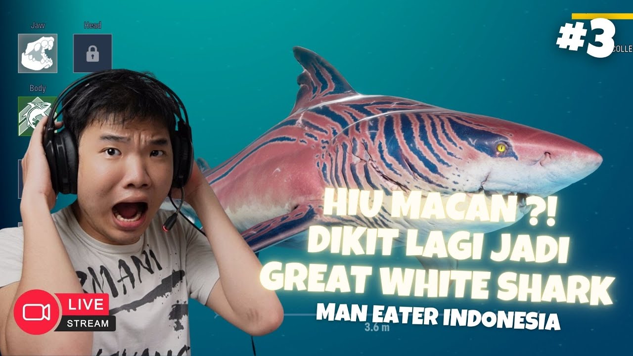 JADI HIU MACAN ?! BENTAR LAGI JADI GREAT WHITE SHARK - MAN EATER - PART ...