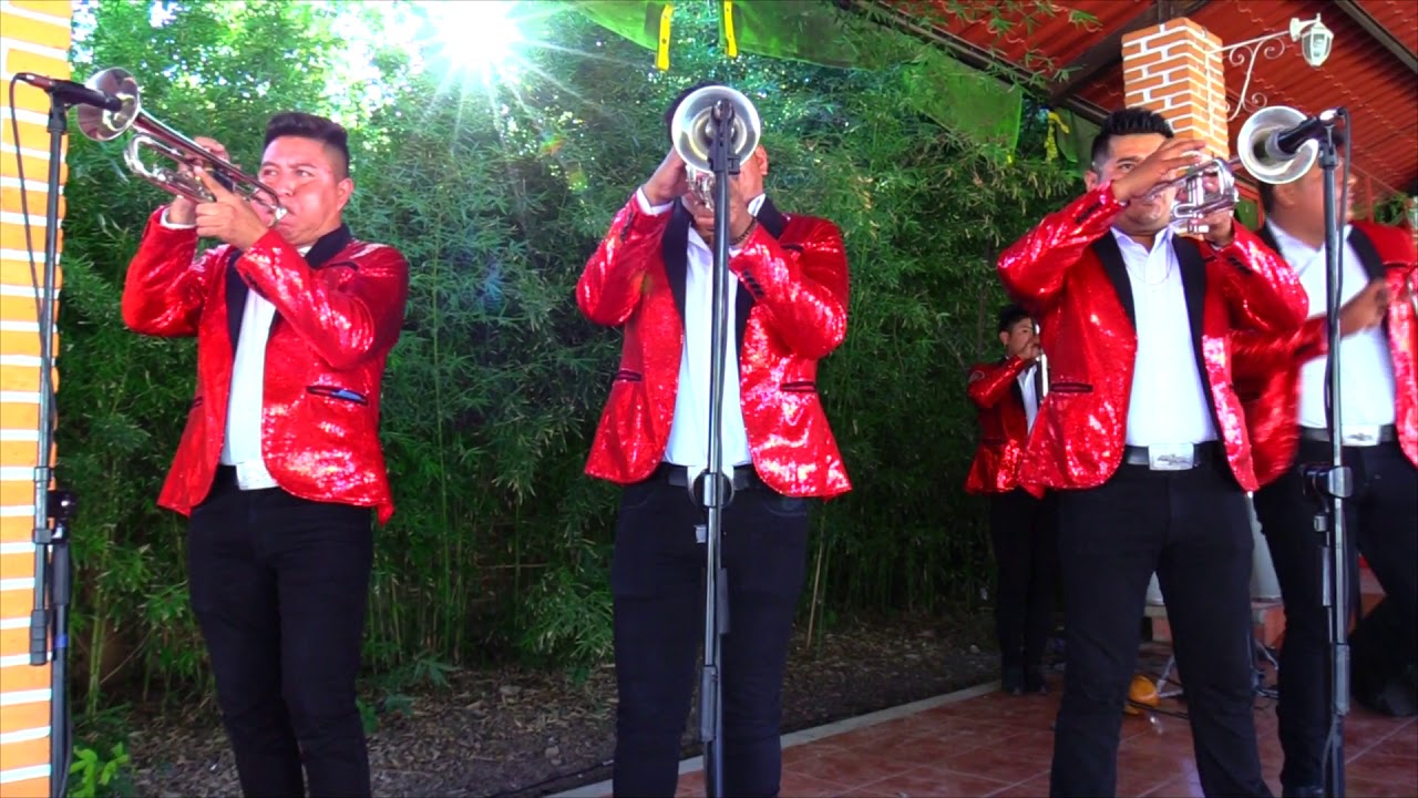 EL MOCHOMO En Vivo BANDA LA MÁXIMA ESCUELA - YouTube