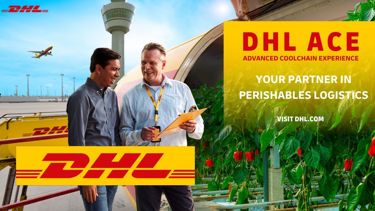 DHL ACE - Advanced Coolchain Experience - YouTube