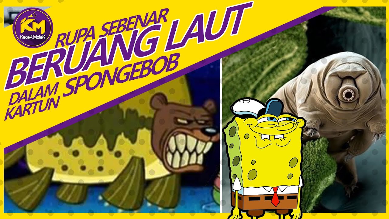 Ingatkan Spongebob TIPU Je. Rupanya BERUANG IKAN Ni.. - YouTube