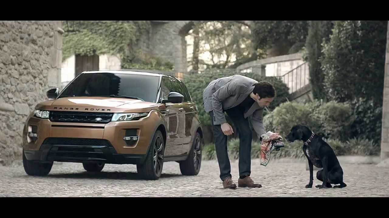 What Breed Of Dog Is In The Land Rover Commercial