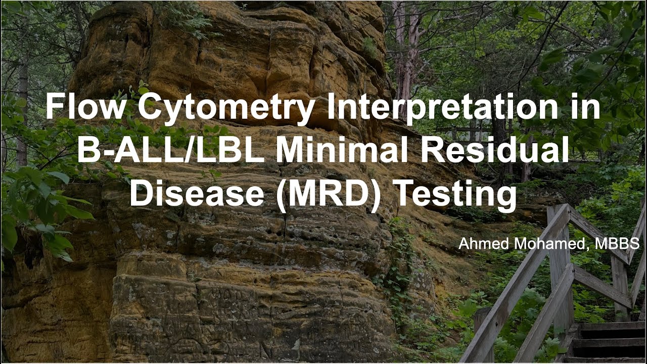 Flow Cytometry Interpretation in B-ALL/LBL Minimal Residual Disease ...