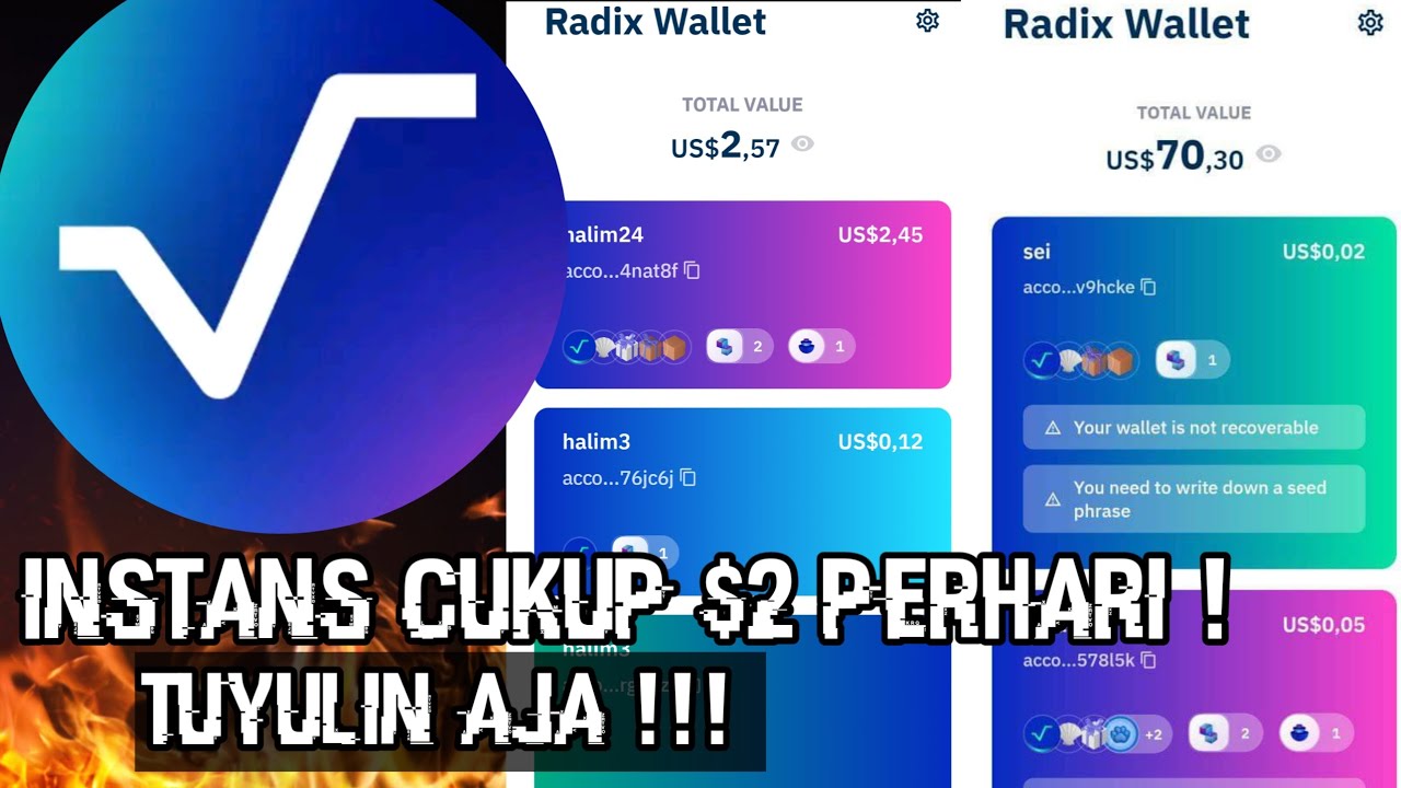 TUYULIN RADIX WALLET INSTANS $2 PERAKUN & DRESSIN $8 INSTAN UPDATE 2024 - YouTube
