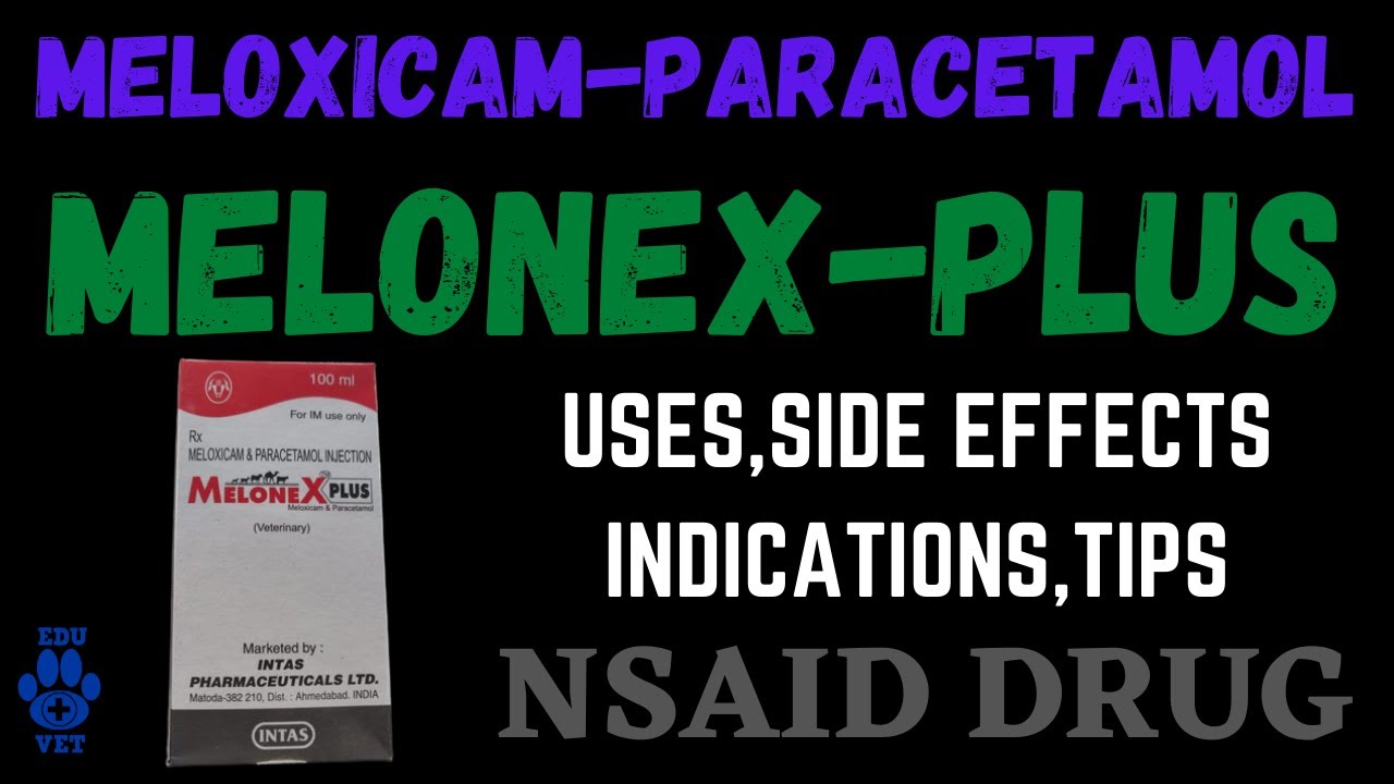 Melonex-Plus Injection | Veterinary Uses & Details - YouTube