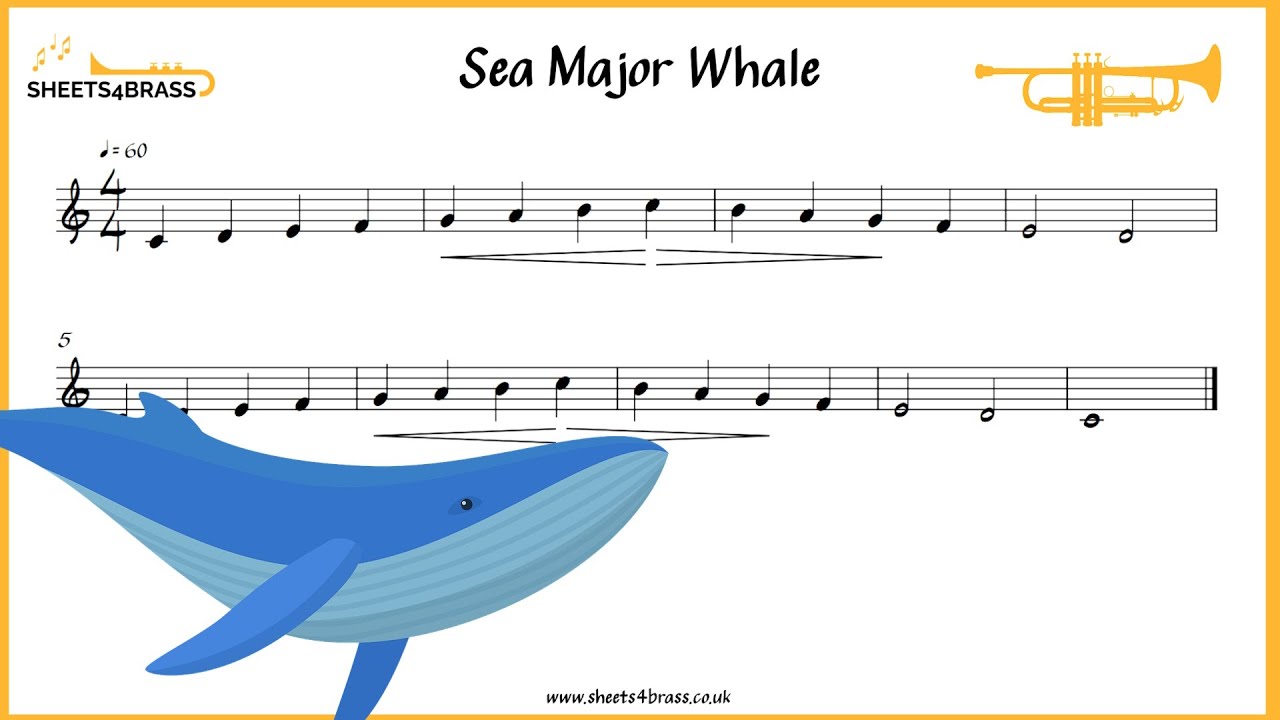 Sea Major Whale - Trumpet Solo with Sheet Music and Play Along - YouTube