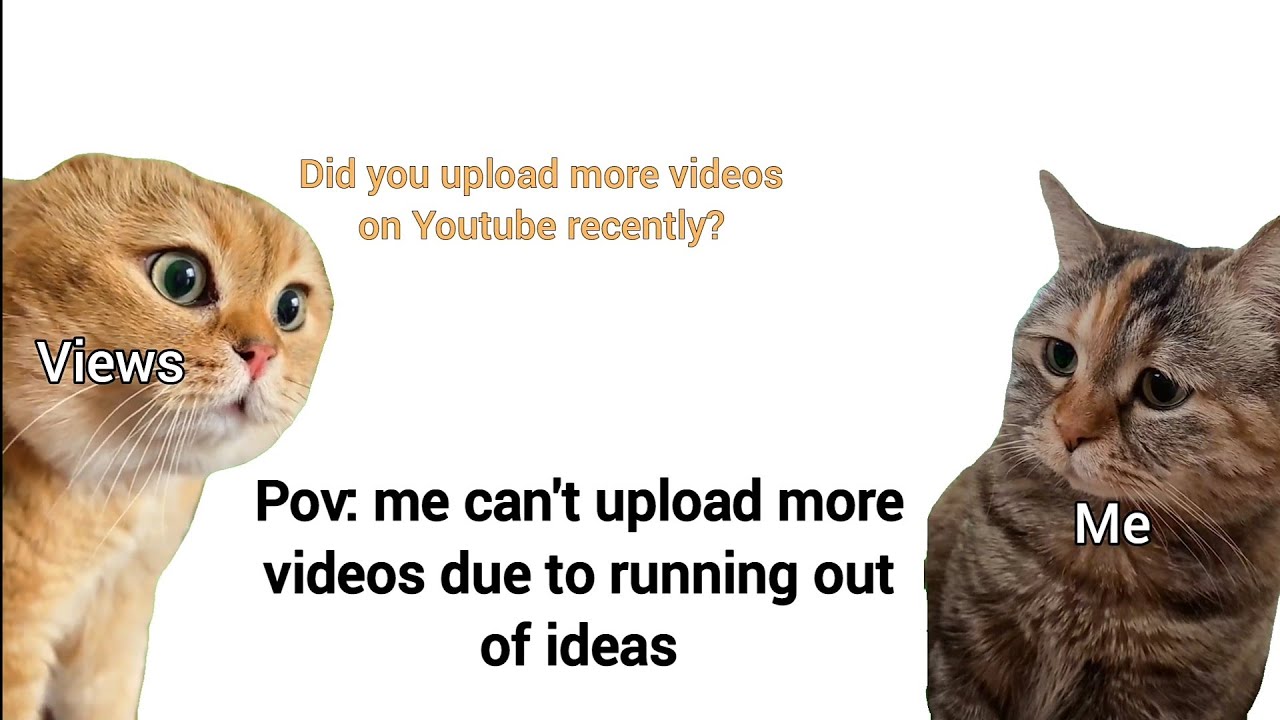 When I Stop Uploading more Videos | Relationship Cat Meme - YouTube