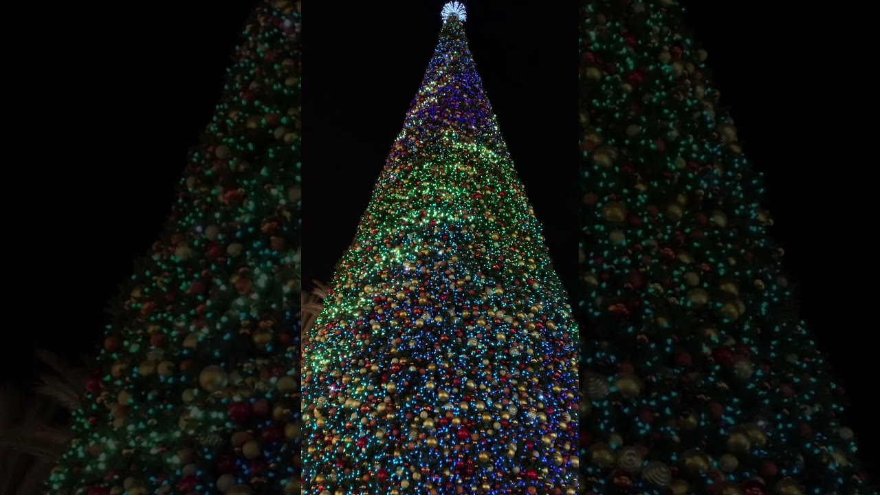 Irvine Spectrum 75 foot Tall Christmas Tree - YouTube