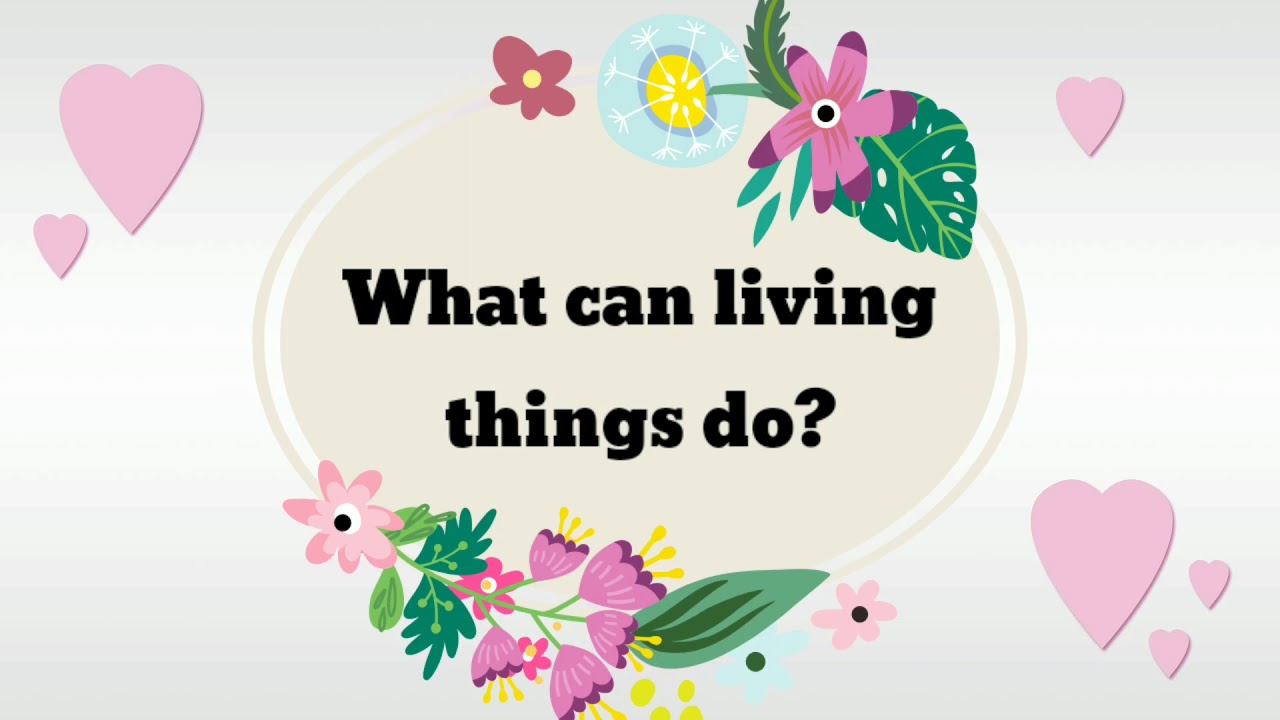 Living Things For 3rd Primary School - YouTube