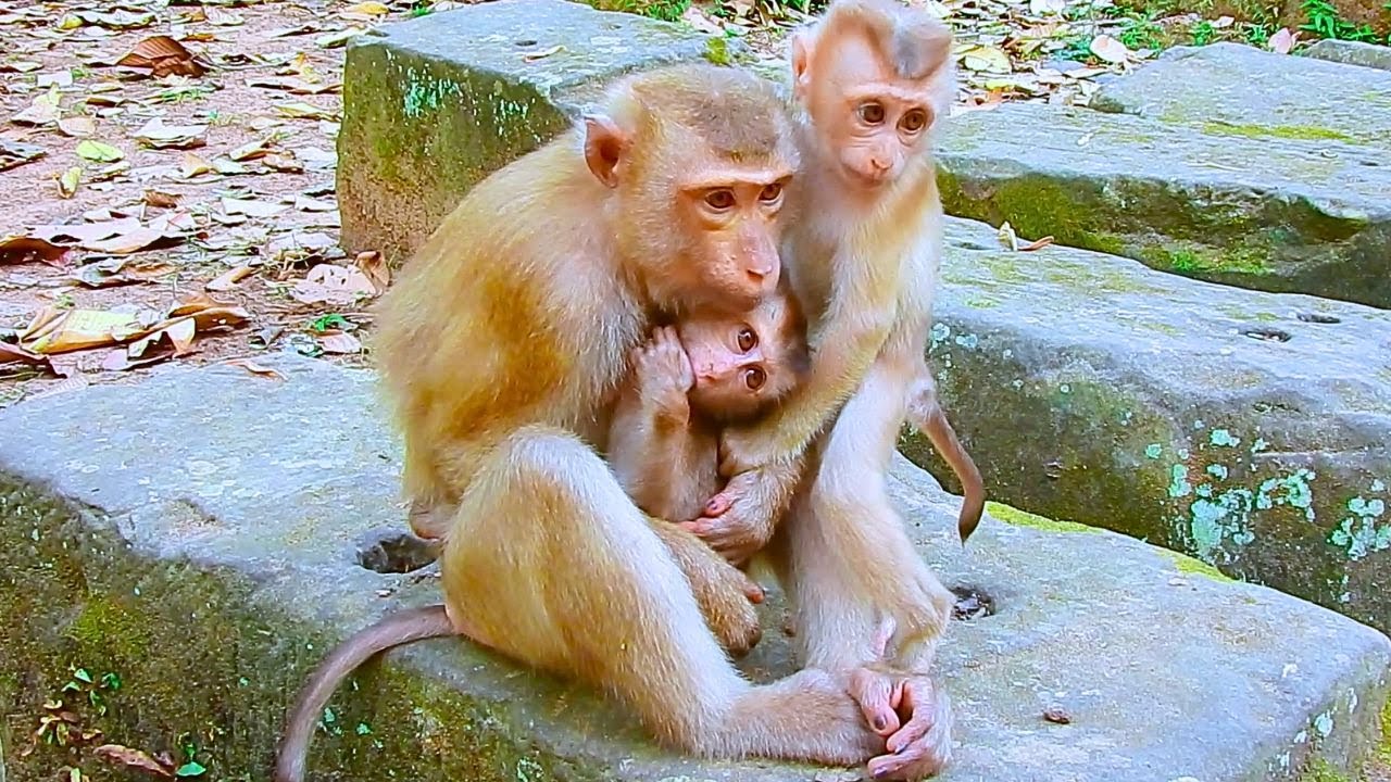 Really good, Monkey Pretty is always taking care of new abandoned ...