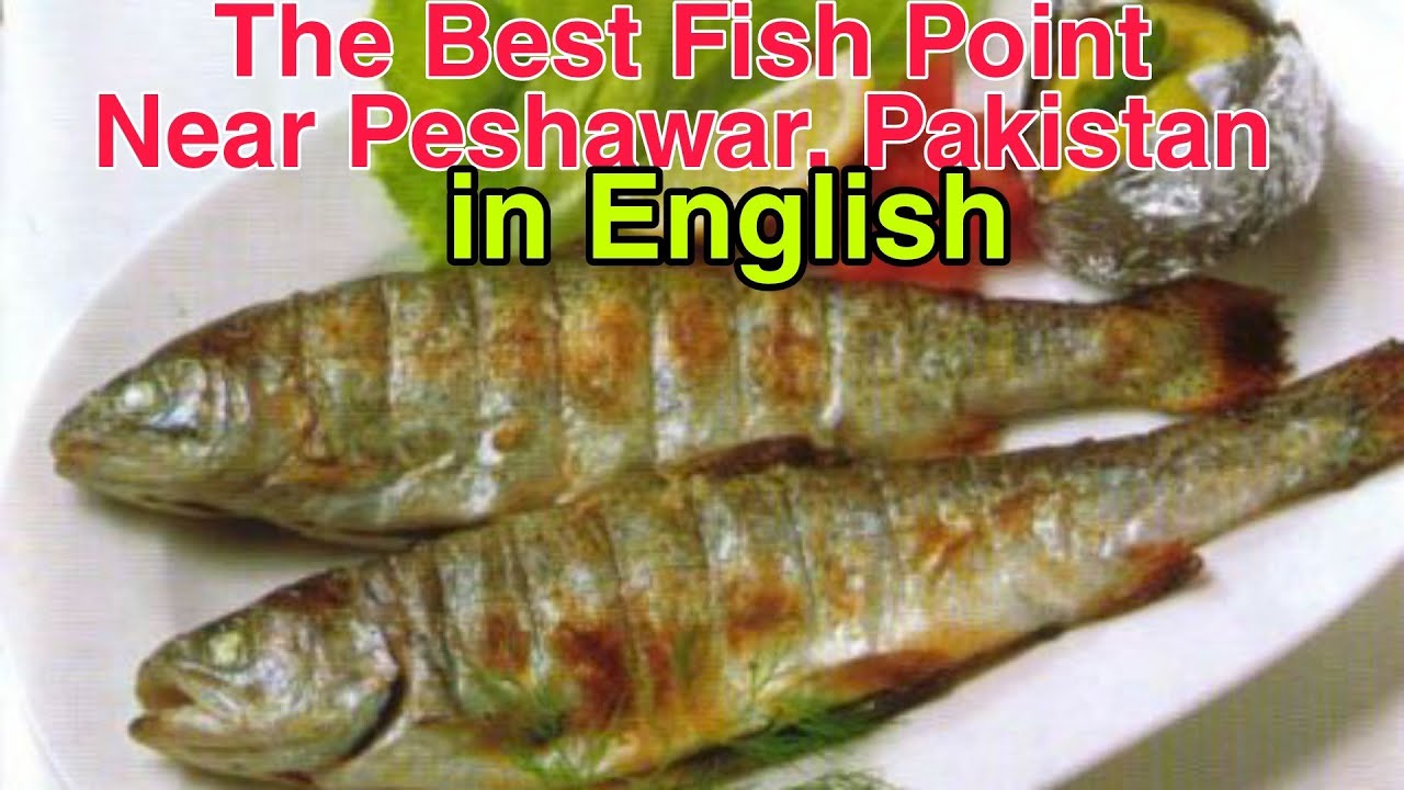 The Best Fish Point Near Peshawar Pakistan| Sardaryab|Fish Party Point ...