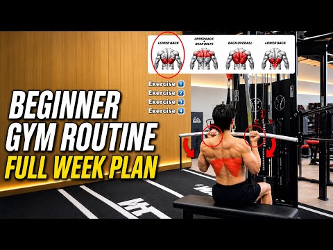 🔸5-Day Gym Workout Routine｜Back, Chest, Legs, Shoulders & Arms🔥 #gymtips #workoutsplit #workout 