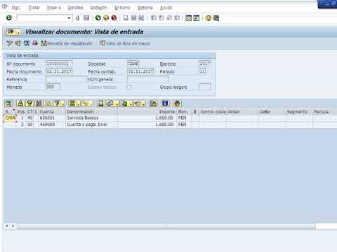 Visualizar FB03 Modulo FI Contabilidad SAP - CCT Consultoria - YouTube