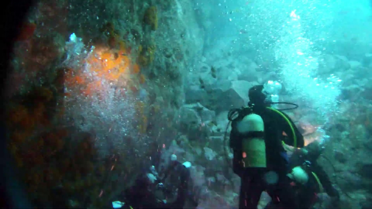 My Magical Fishrock Cave diving with Scubathlon crew at Fish Rock ...