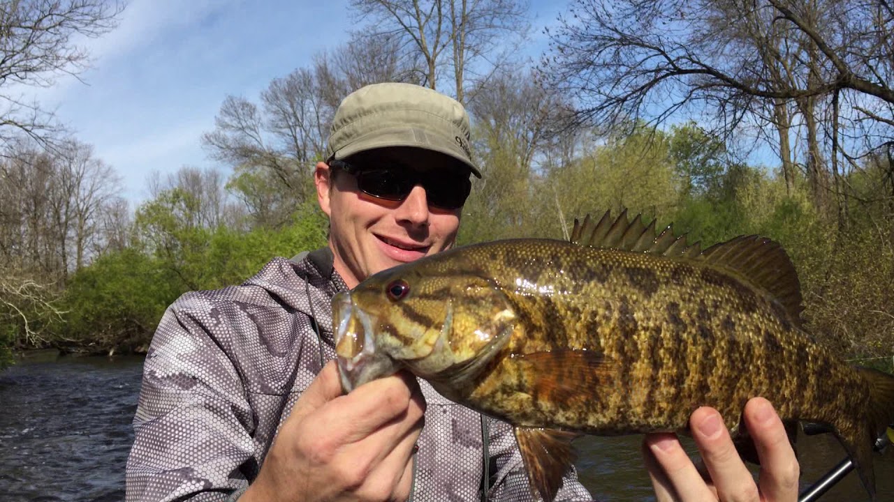River Smallmouth on the Fly - YouTube