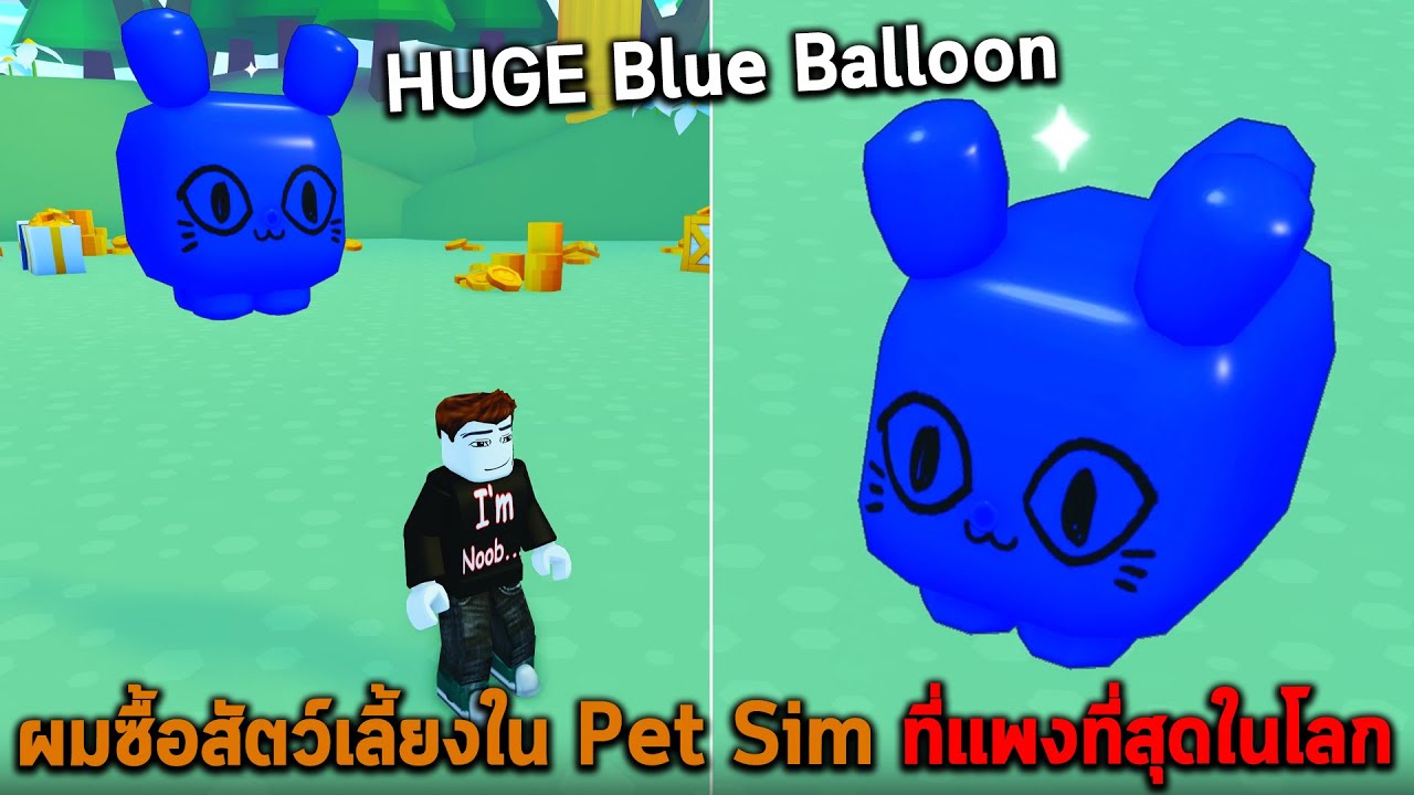 ผมซื้อสัตว์เลี้ยงใน Pet Sim ที่แพงที่สุดในโลก HUGE Blue Balloon Roblox ...