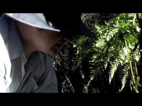 Kevin Bonham looks for snails - YouTube