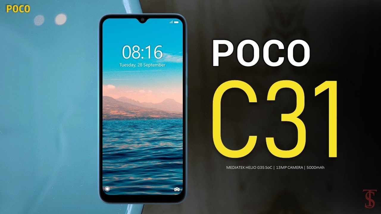 Poco C31 Price, Official Look, Design, Specifications, Camera, Features ...