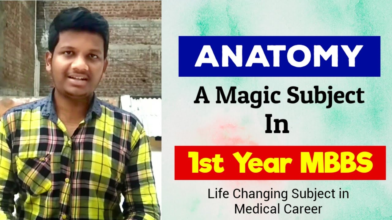 Why Anatomy Is The Most Important Among First Year MBBS Subjects Must Why Anatomy Is The Most Important Among First Year MBBS Subjects Must
