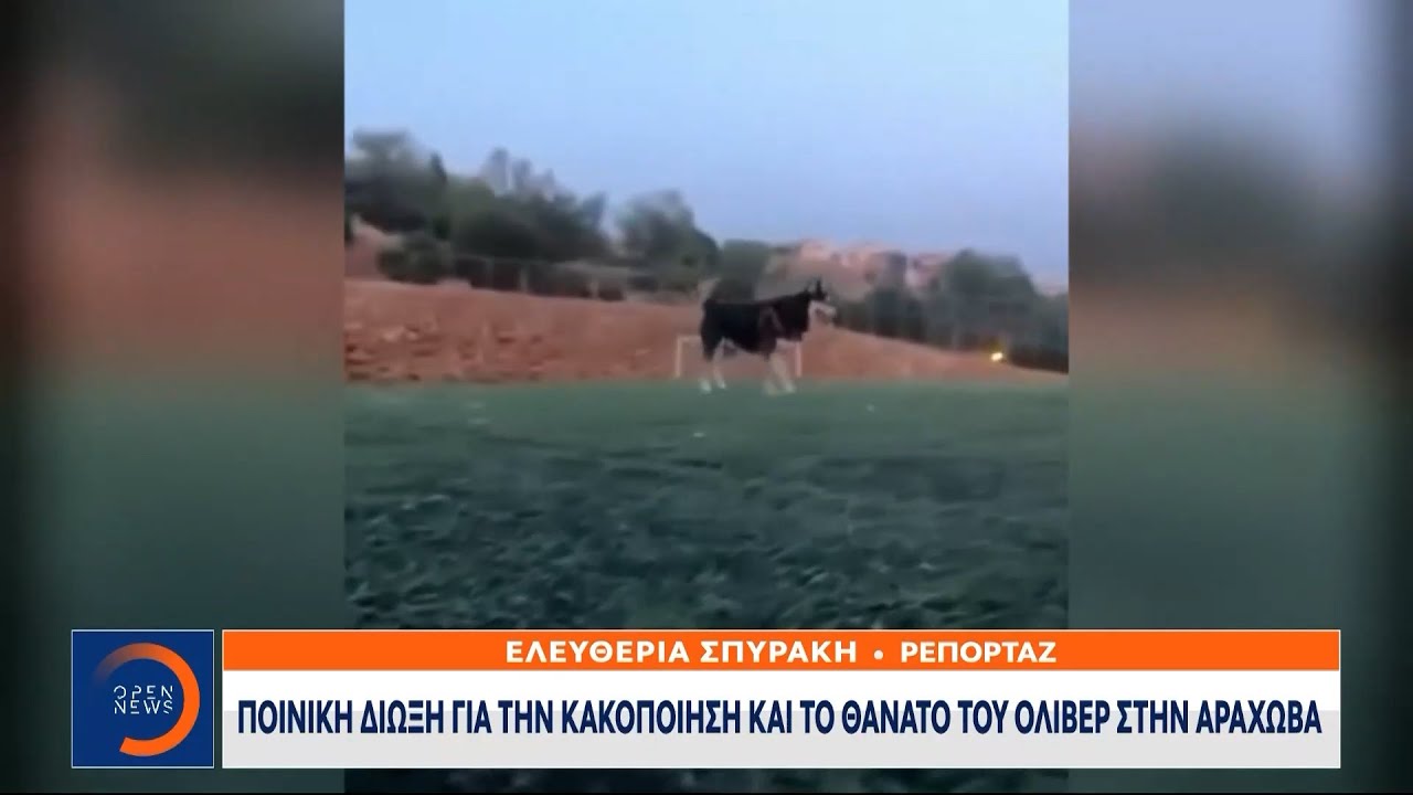 Ποινική δίωξη για την κακοποίηση και το θάνατο του Όλιβερ στην Αράχωβα ...