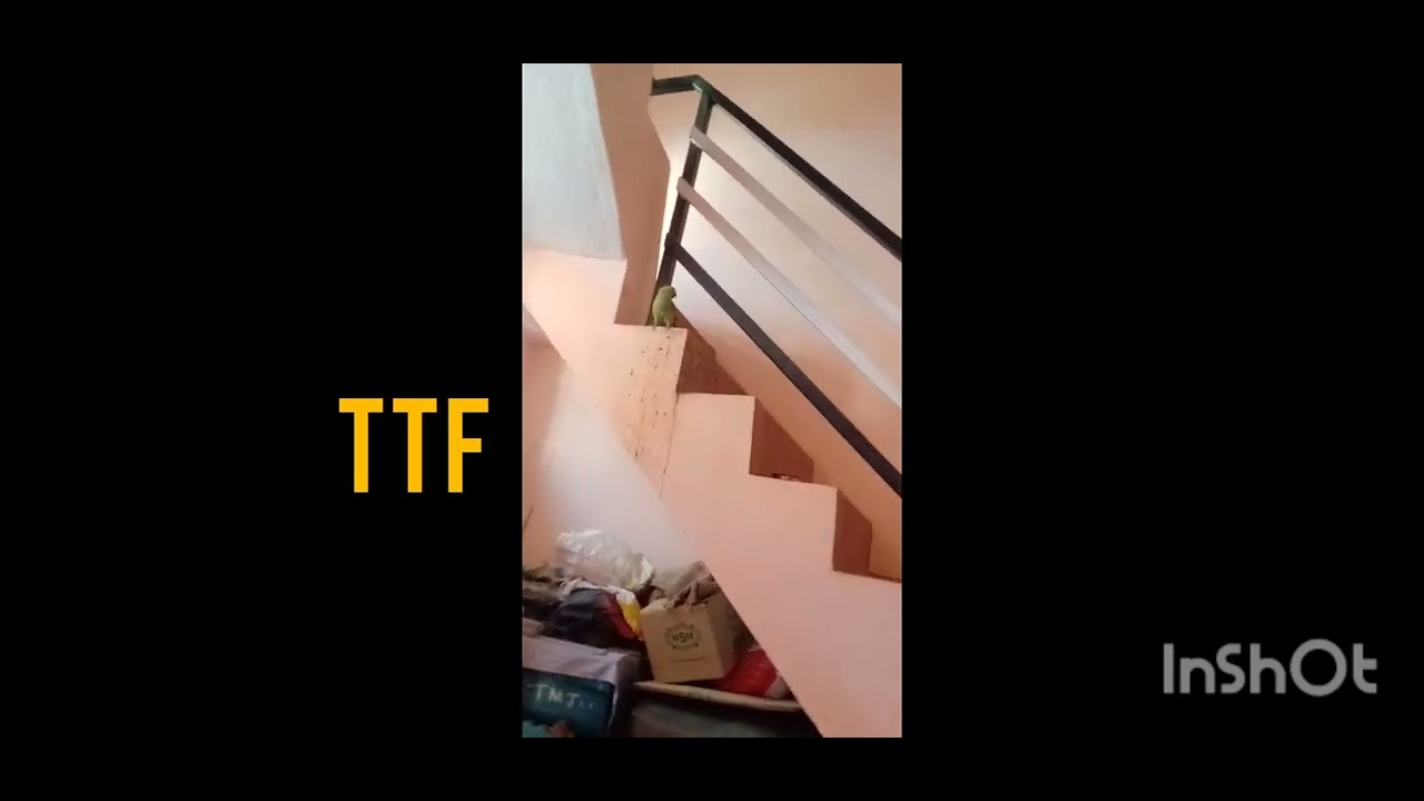 TTF - YouTube