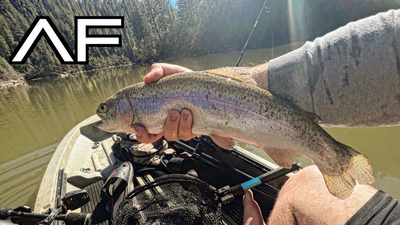 KAYAK FISHING FOR HUGE ARIZONA TROUT AT BLUE RIDGE RESERVOIR!!! (Quick ...
