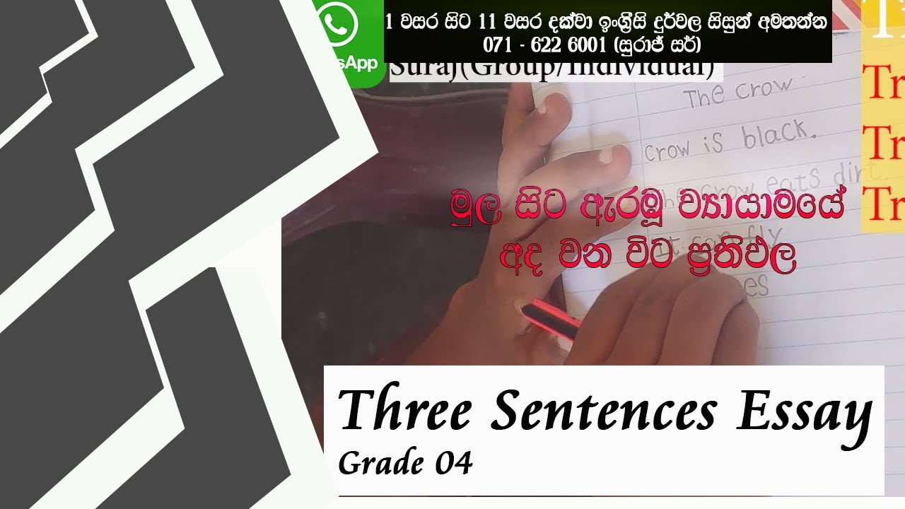 Three Sentences Essay - YouTube