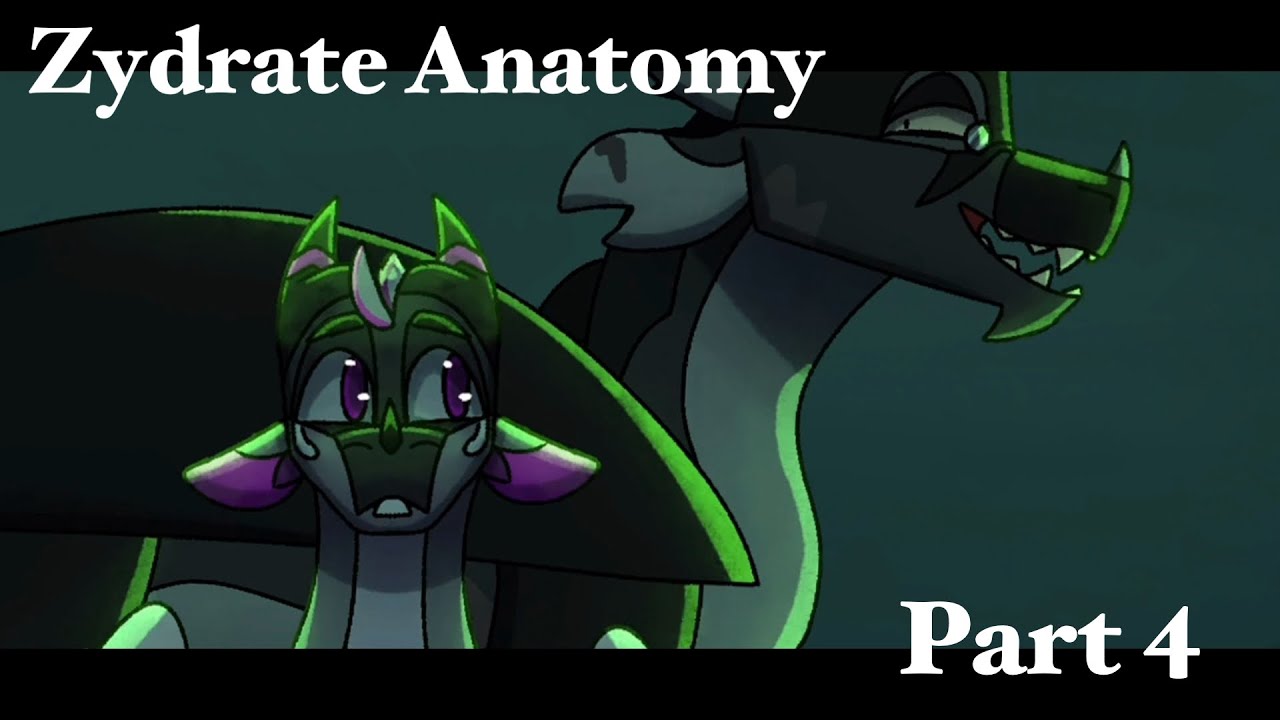 Zydrate Anatomy || Part 4 - YouTube