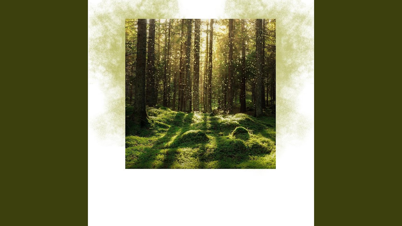 Soft Scenery In Tender Breeze - YouTube