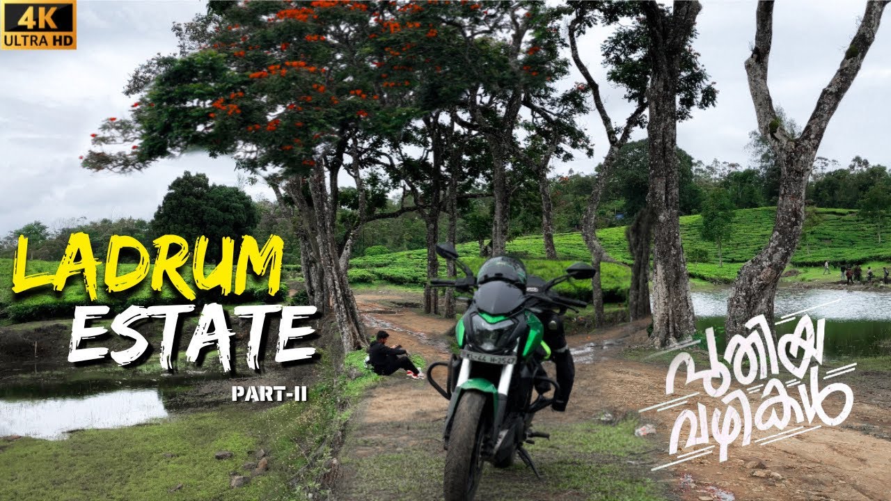 കുട്ടിക്കാനം വഴി Ladrum Estate ലേക്ക്😍🔥|Charlie Movie Location Vagamon ...