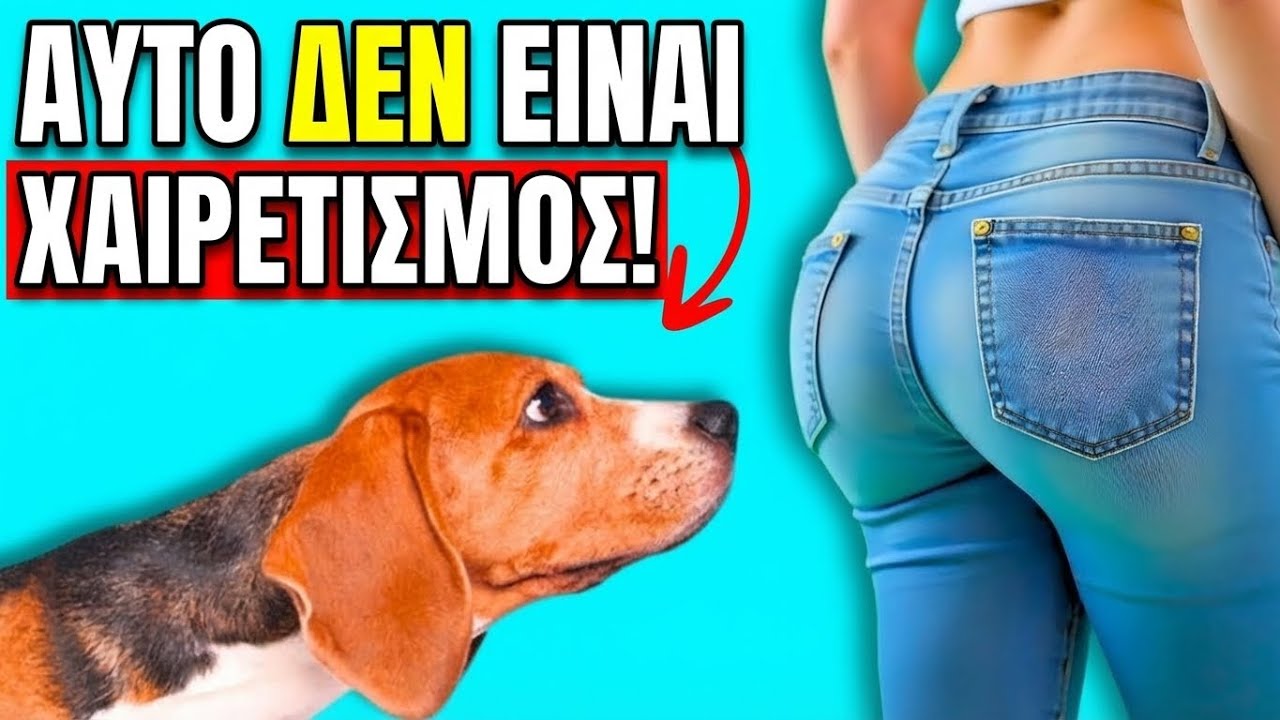 Όταν οι Σκύλοι ΜΥΡΊΖΟΥΝ τον Πισινό Σου, Αυτό Είναι Αυτό Που Σημαίνει ...
