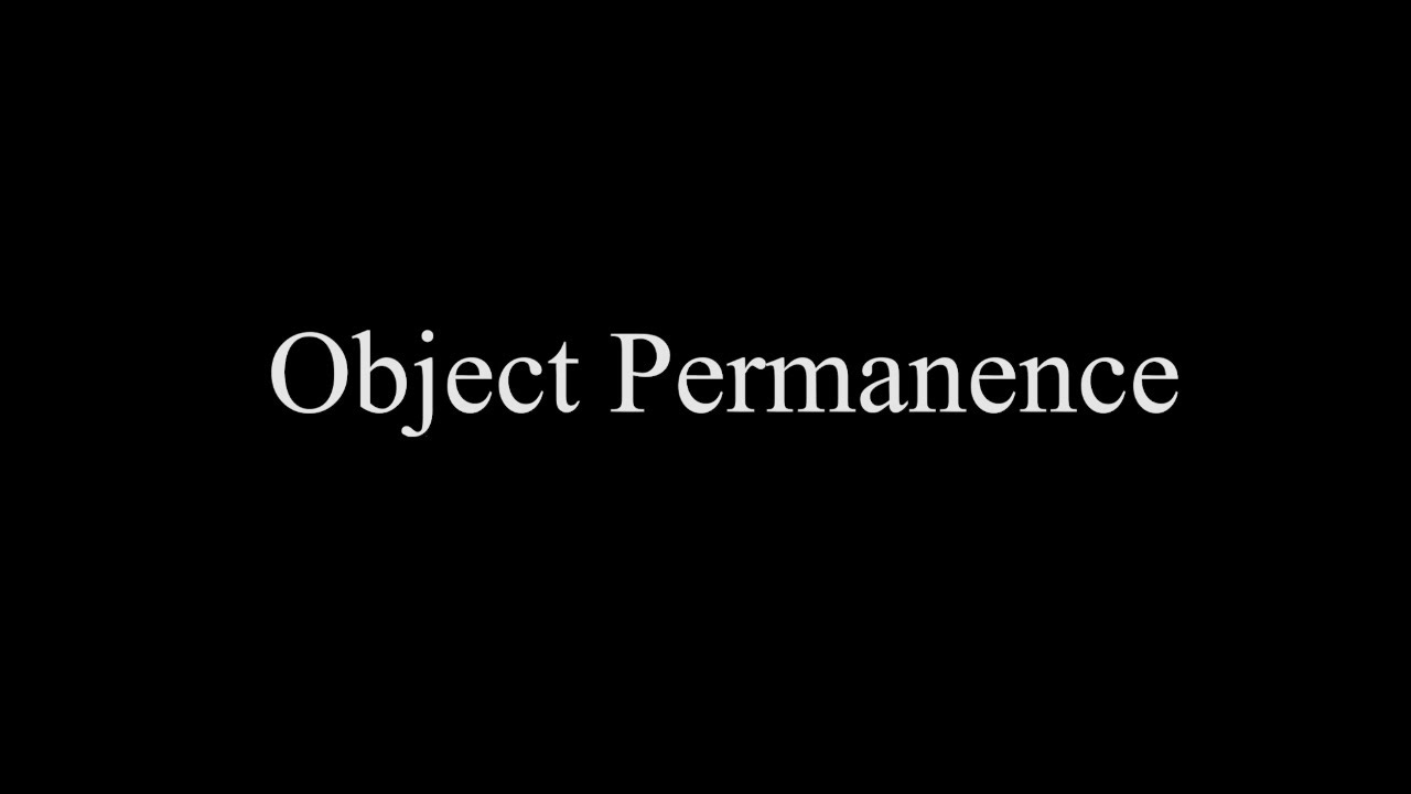 Object Permanence - YouTube