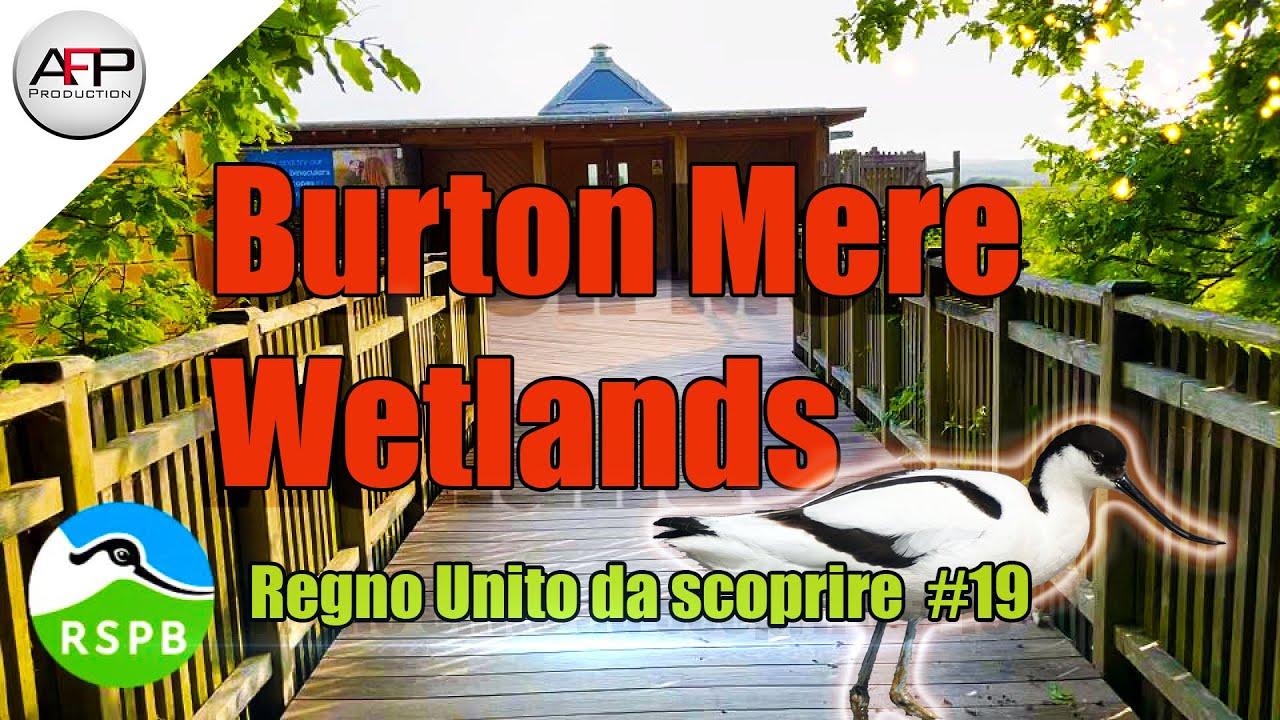 Burton Mere Wetlands: The heart of the RSPB Dee Estuary reserve ...